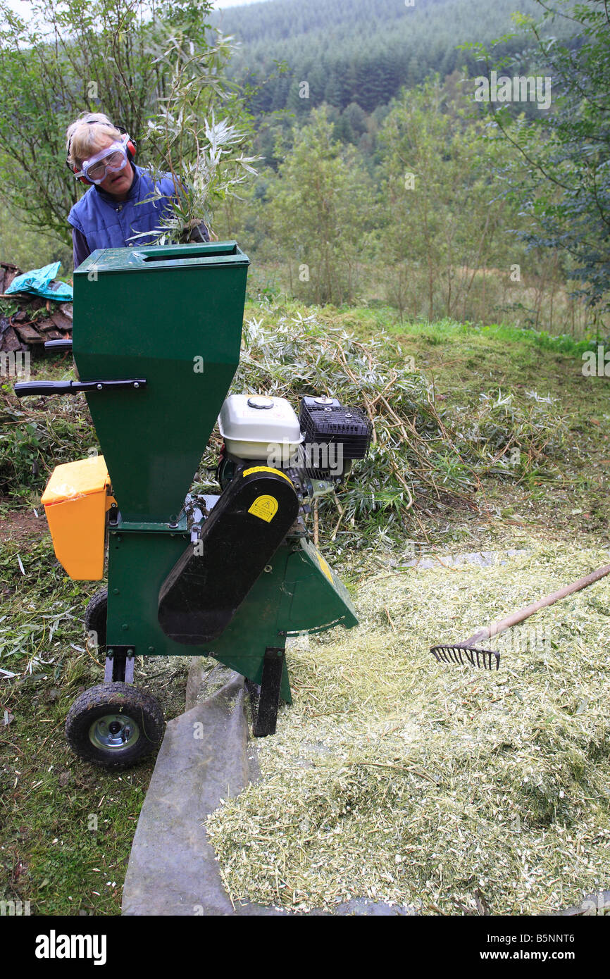 Shredding branches -Fotos und -Bildmaterial in hoher Auflösung – Alamy