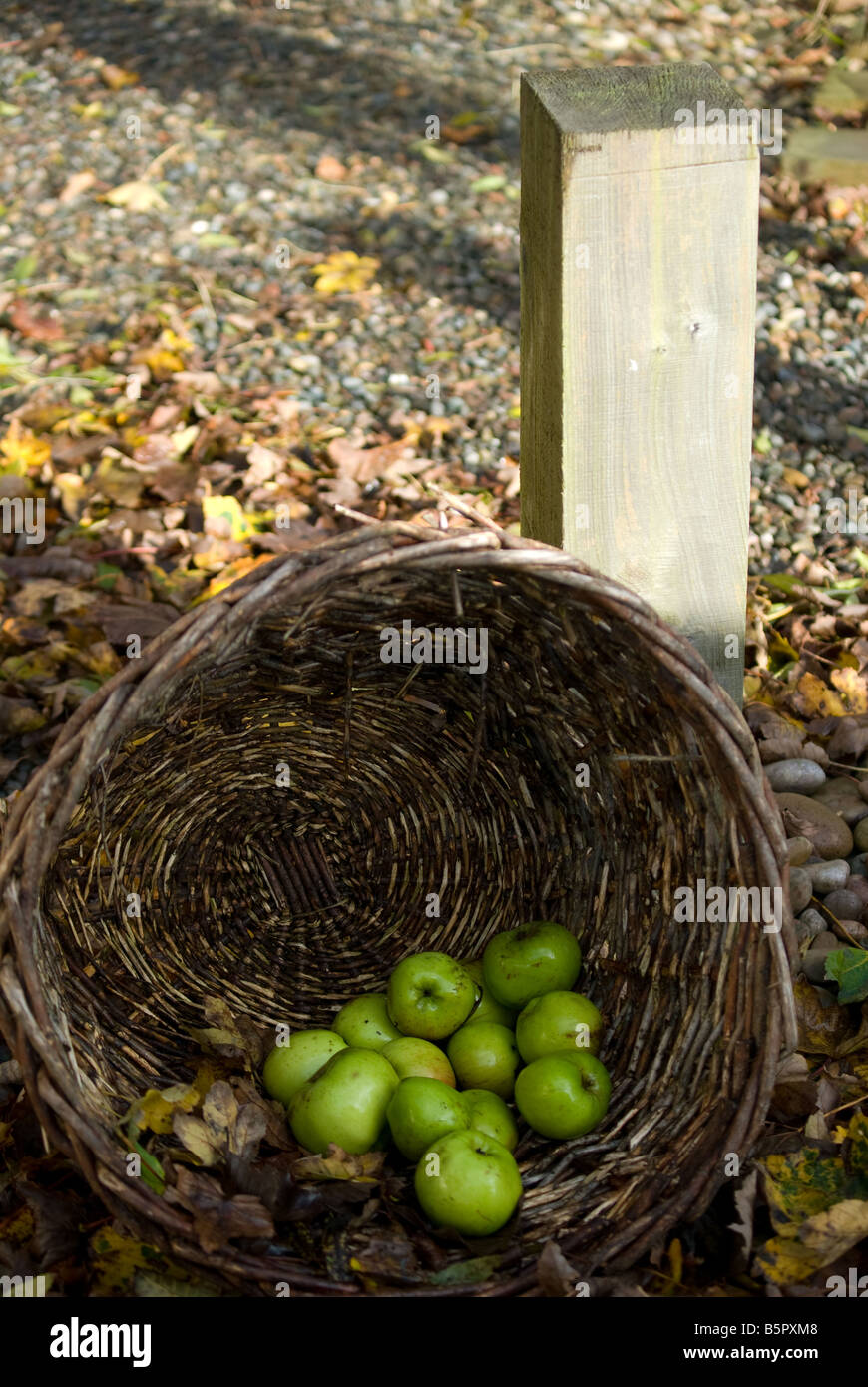 äpfel lagern -Fotos und -Bildmaterial in hoher Auflösung – Alamy