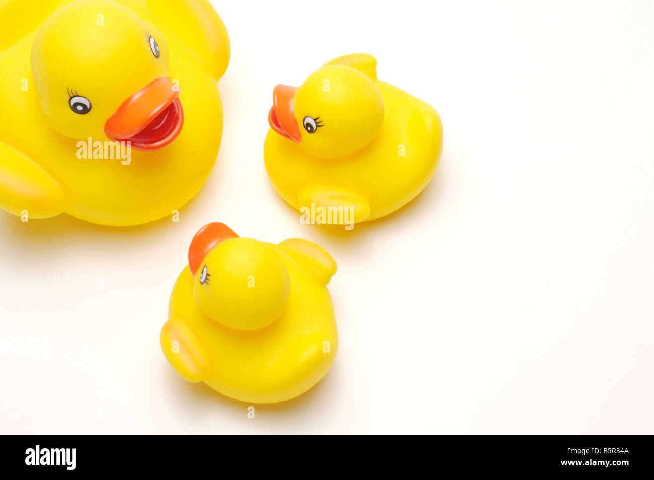 Gummiente humor -Fotos und -Bildmaterial in hoher Auflösung – Alamy