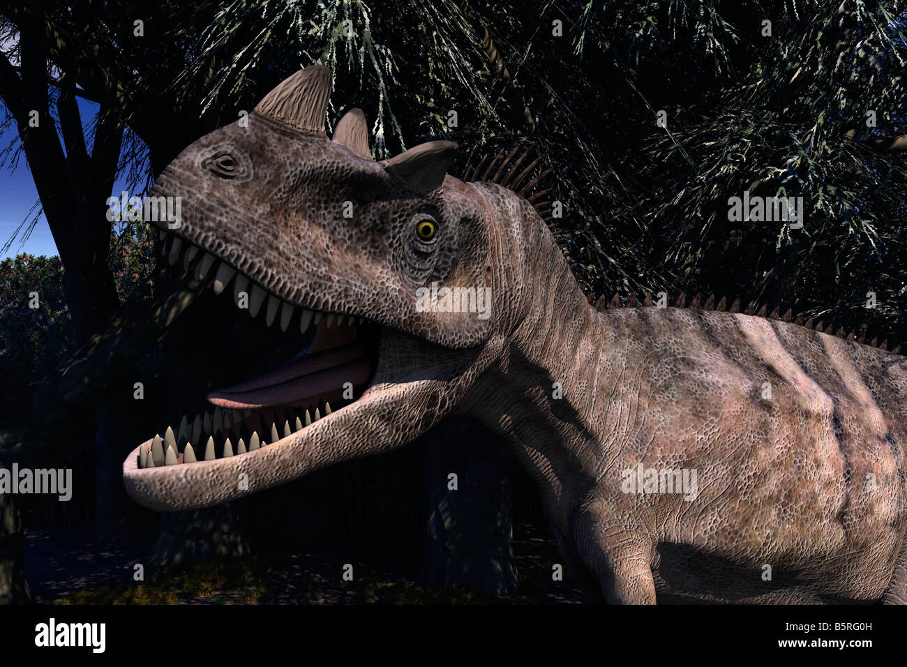 Ceratosaurus ceratosaurus -Fotos und -Bildmaterial in hoher Auflösung ...