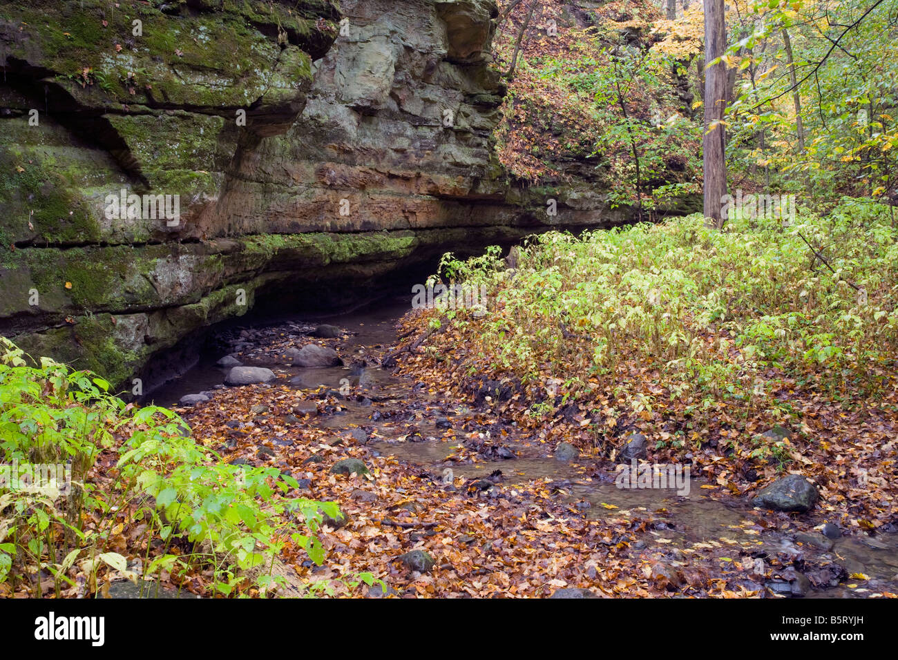 Boneyard bach -Fotos und -Bildmaterial in hoher Auflösung – Alamy