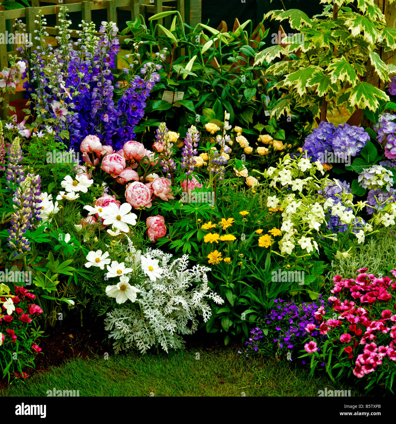 Gemischte strauchgrenze oder waldbepflanzung -Fotos und -Bildmaterial ...