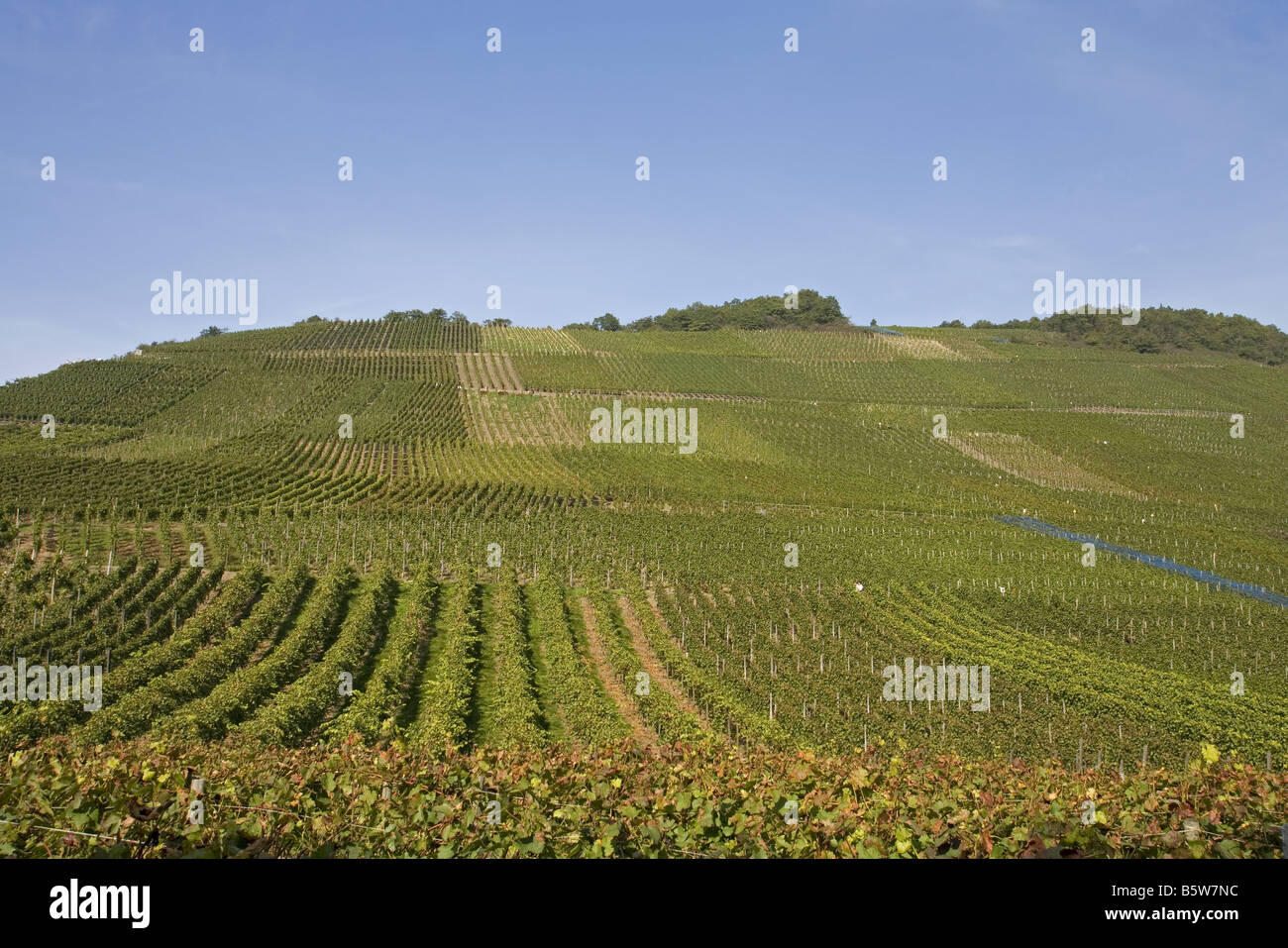 Marienthal ahr -Fotos und -Bildmaterial in hoher Auflösung – Alamy
