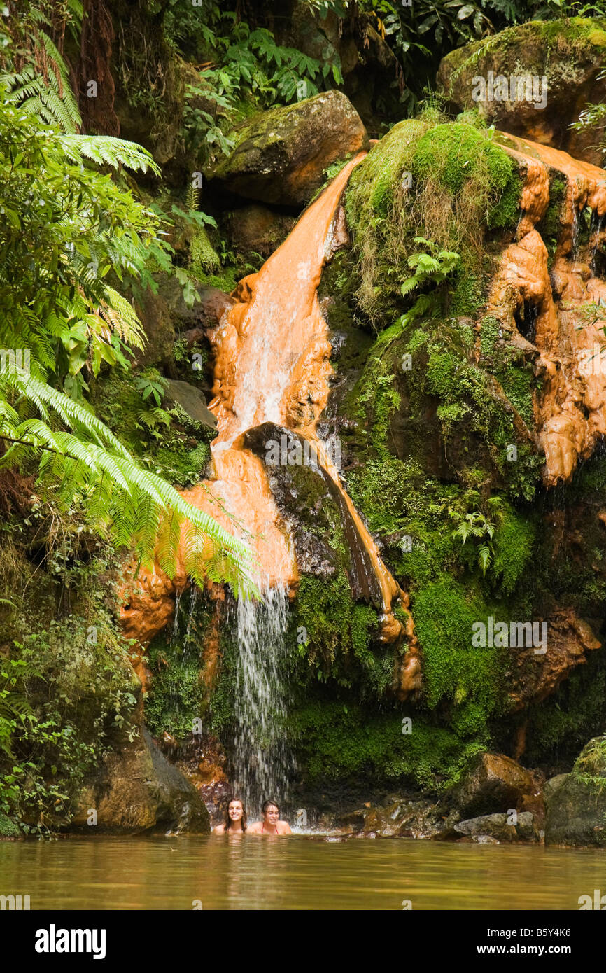 Sao miguel azores caldeira velha -Fotos und -Bildmaterial in hoher ...