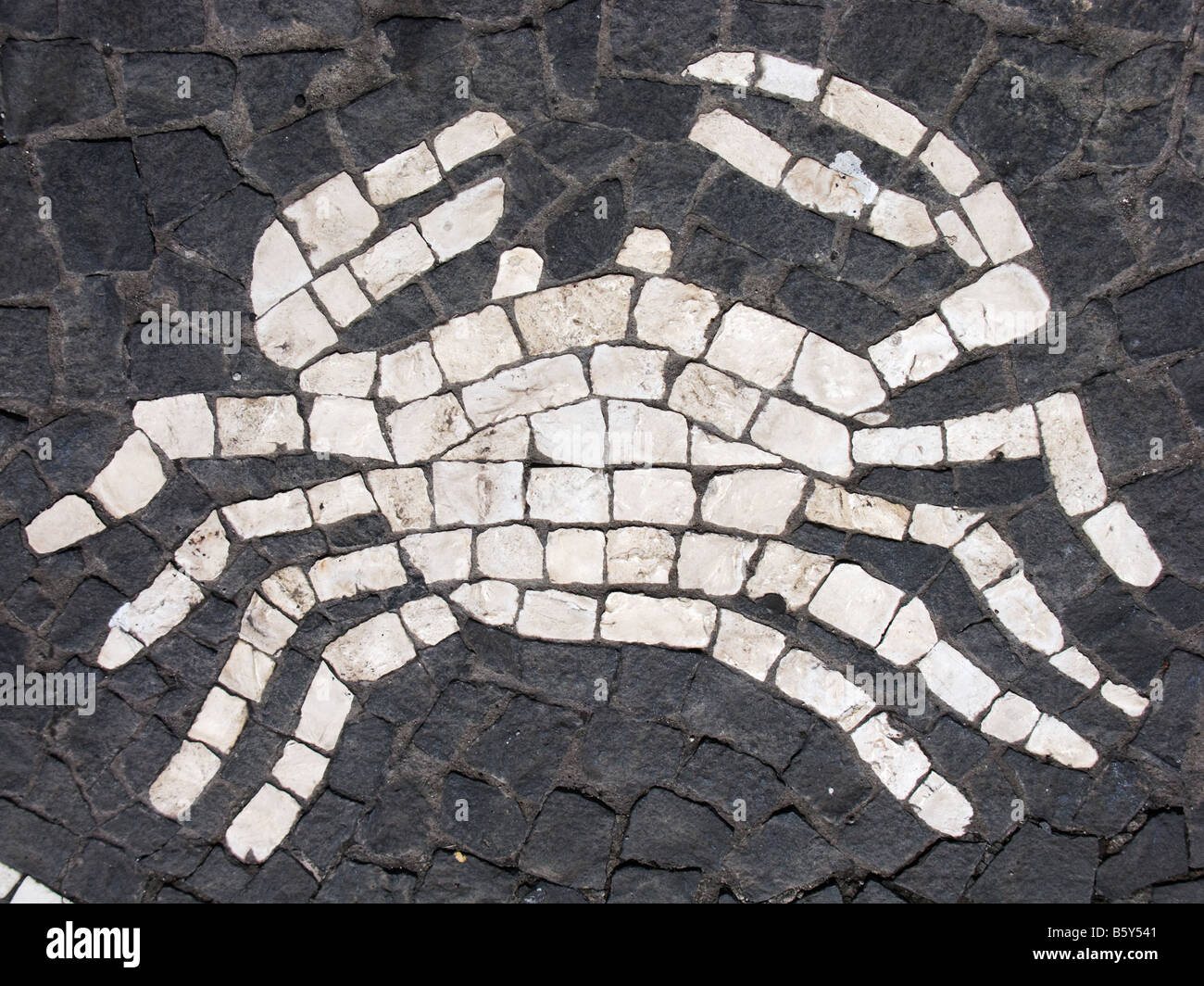 Krabben azoren -Fotos und -Bildmaterial in hoher Auflösung – Alamy