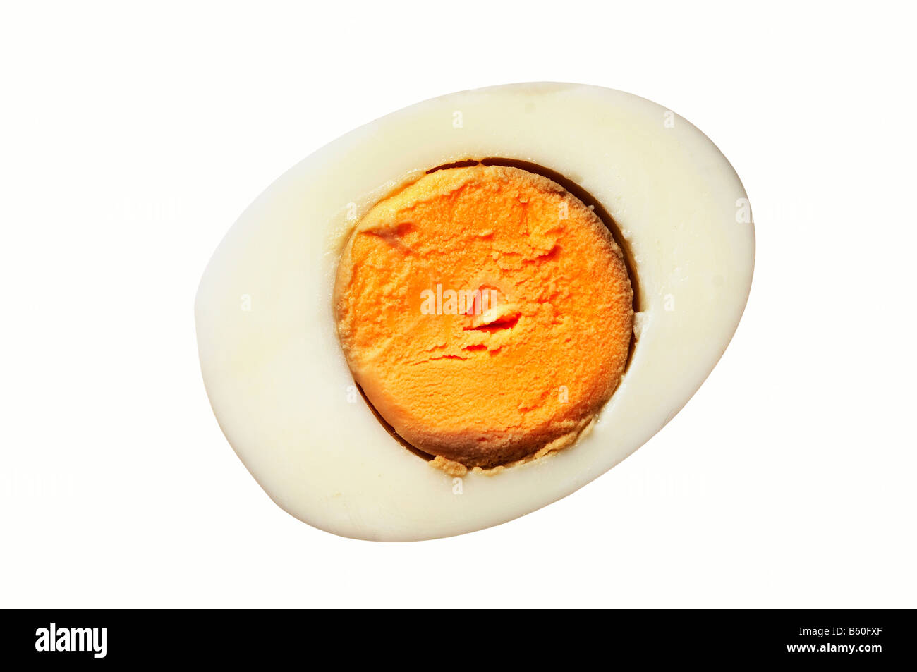 Makro ei detail Ausgeschnittene Stockfotos und -bilder - Alamy