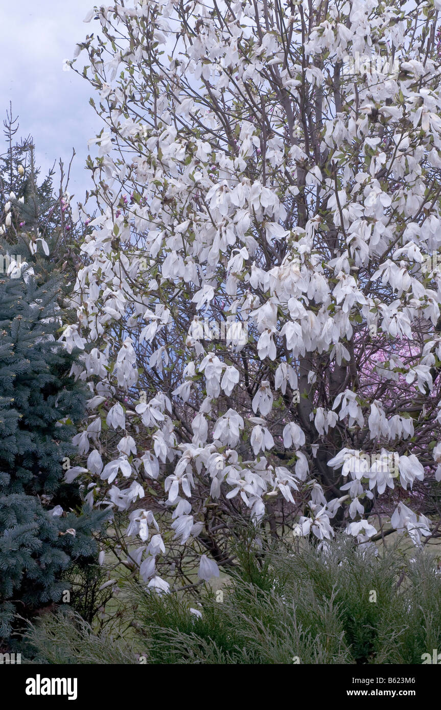 Wadas speicher -Fotos und -Bildmaterial in hoher Auflösung – Alamy