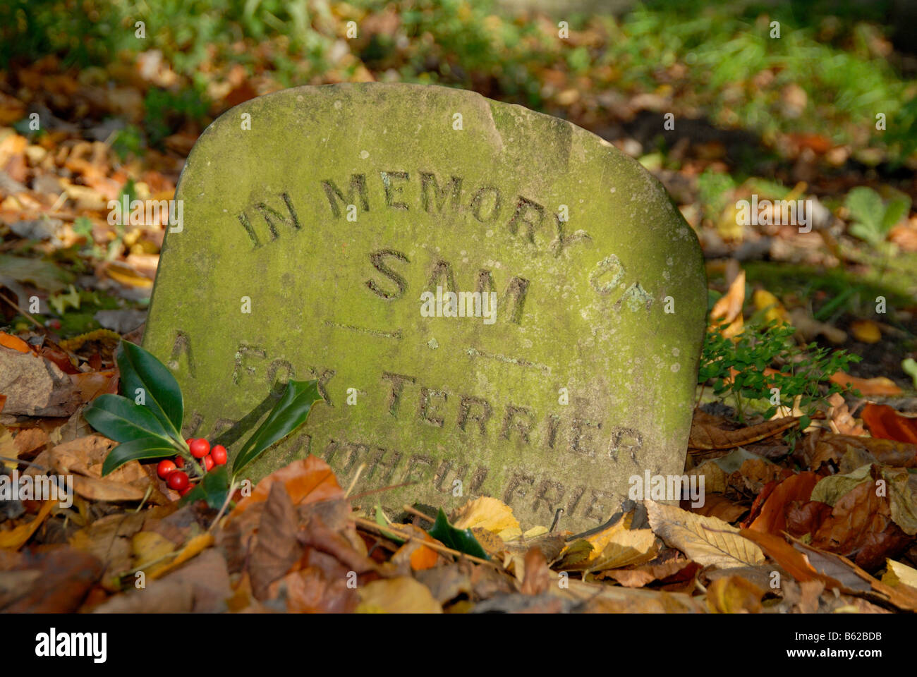 Pet grave stone -Fotos und -Bildmaterial in hoher Auflösung – Alamy