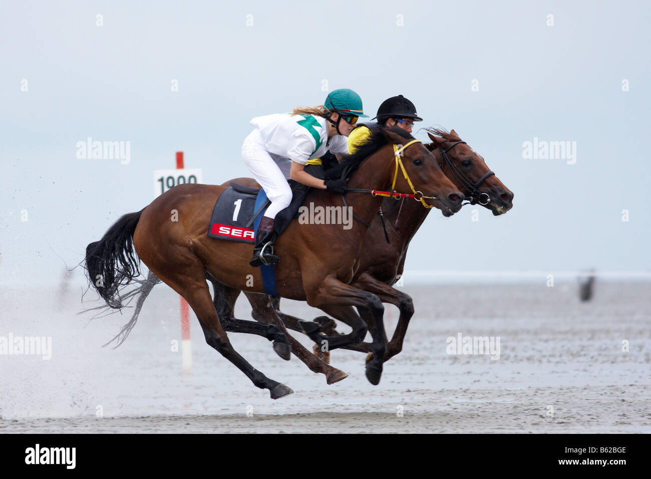 Reiter im Galopp, Duhner Wattrennen, Duhnen Trabrennen Rennen 2008, das ...