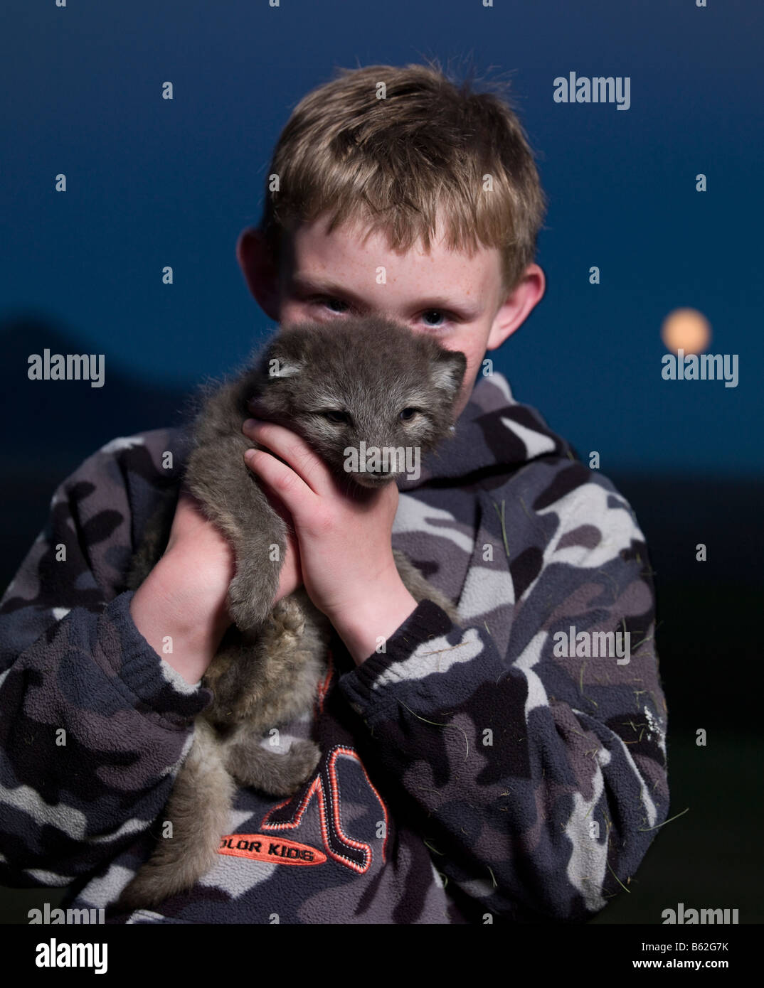 Junge mit Baby Polarfuchs, Island Stockfotografie - Alamy