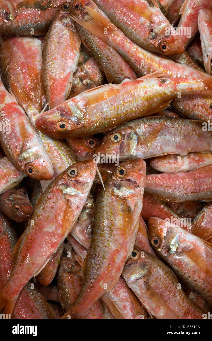 Market fish holland -Fotos und -Bildmaterial in hoher Auflösung - Seite ...