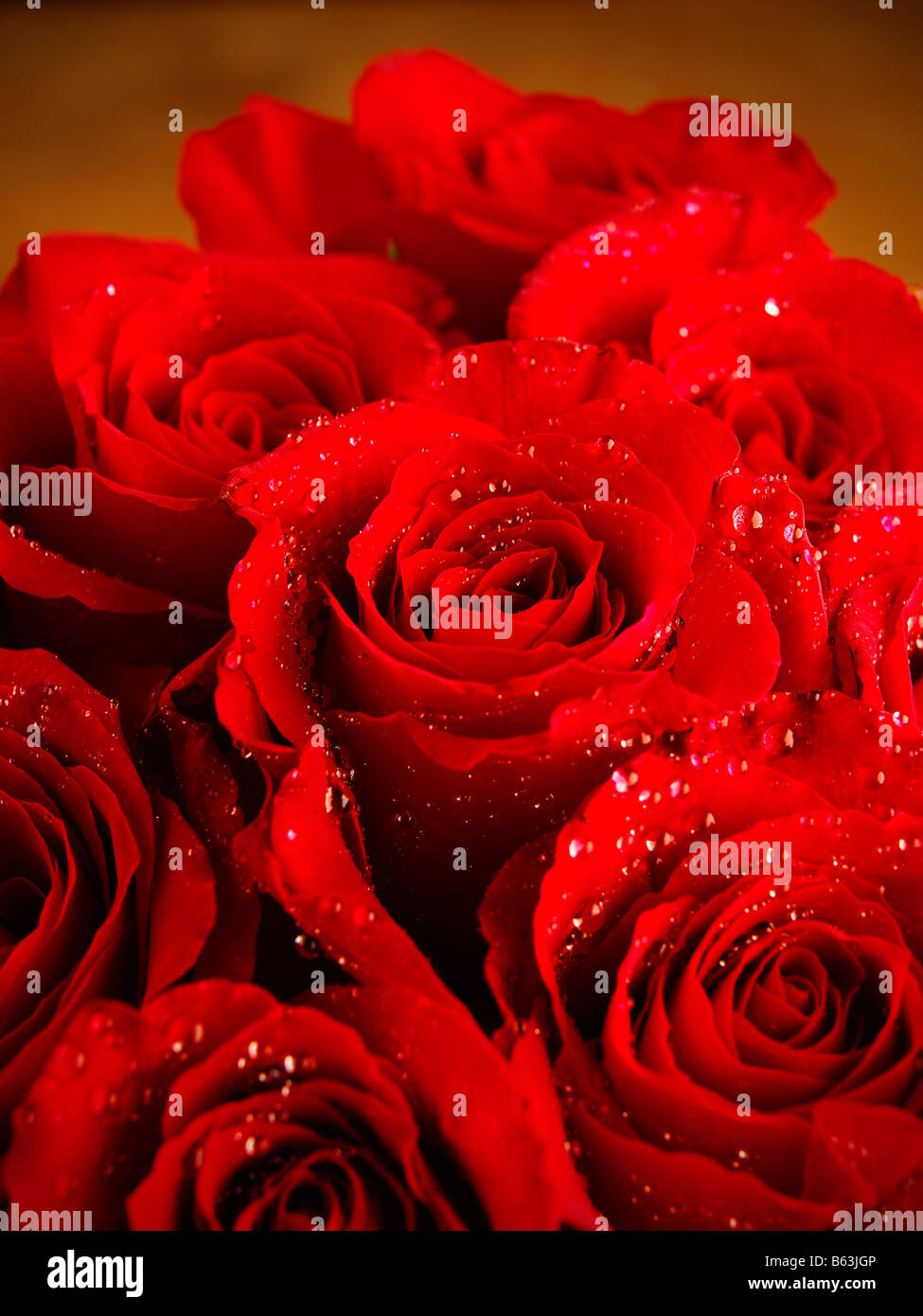 Romantische Rote Rosen Stockfotos und -bilder Kaufen - Alamy