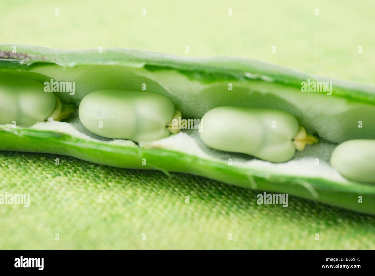 Offene Bohnenschale Stockfotos und -bilder Kaufen - Alamy