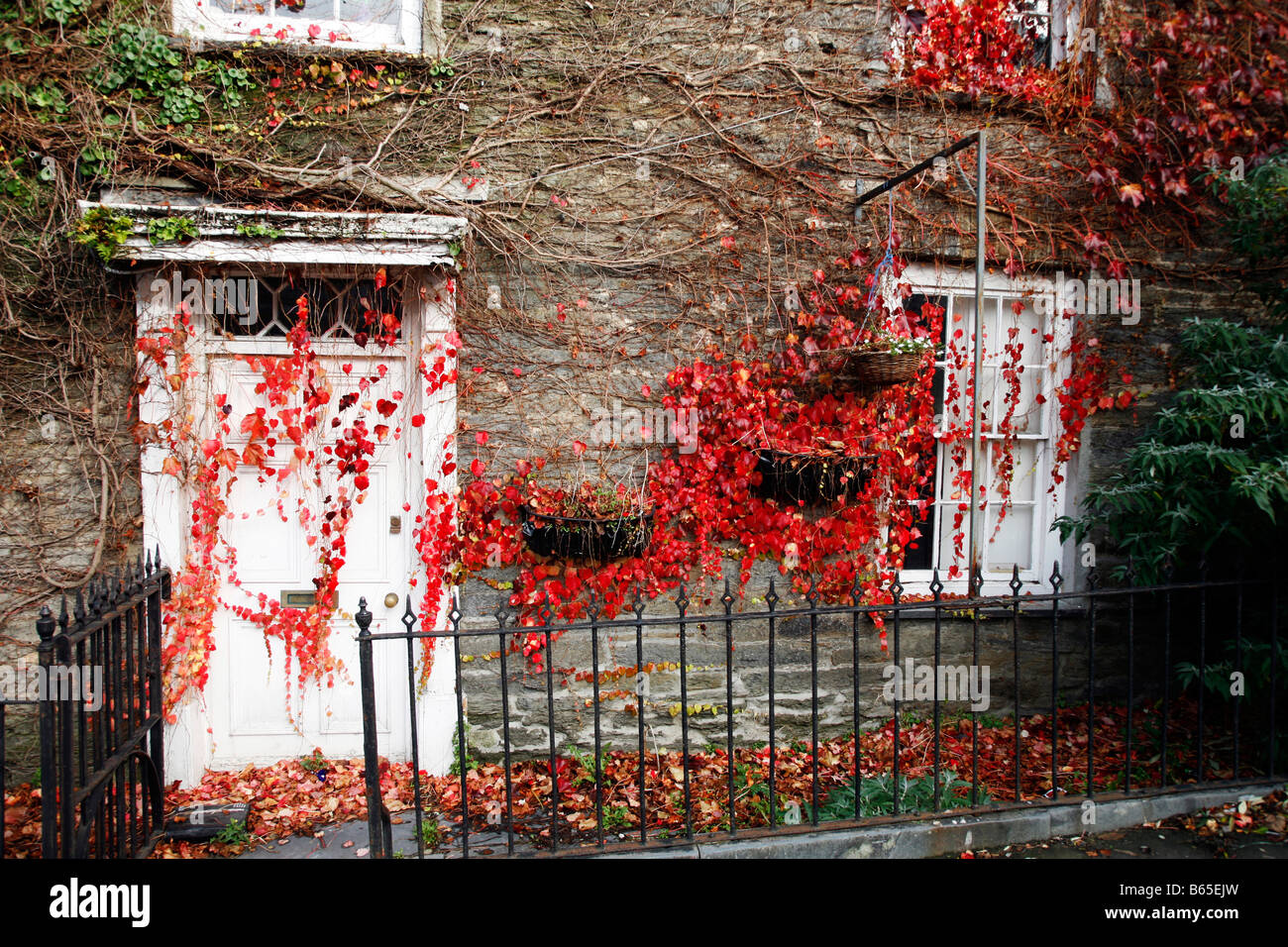 Roter efeu auf altem haus -Fotos und -Bildmaterial in hoher Auflösung ...