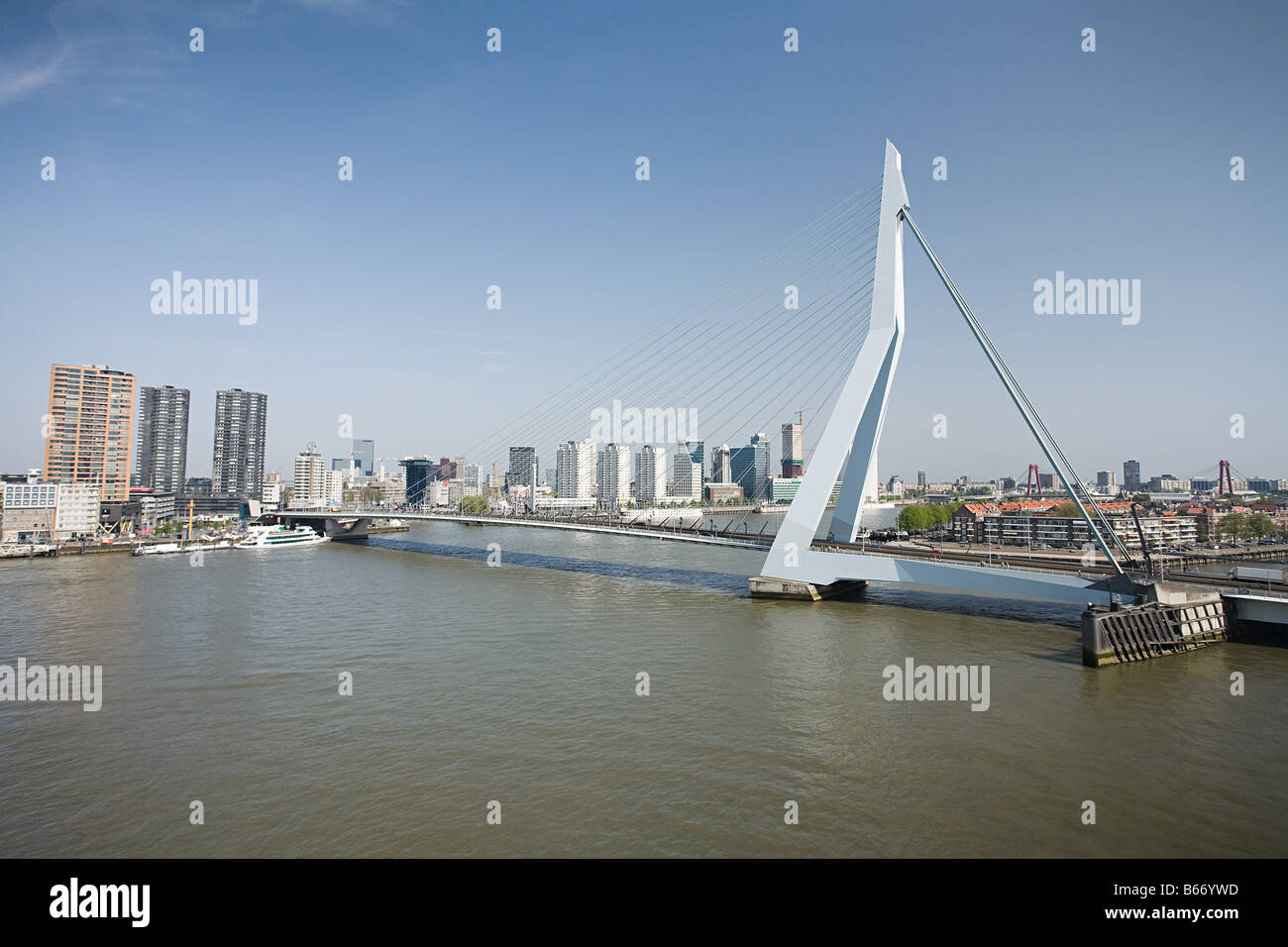 Erasmus Brücke rotterdam Stockfotografie - Alamy
