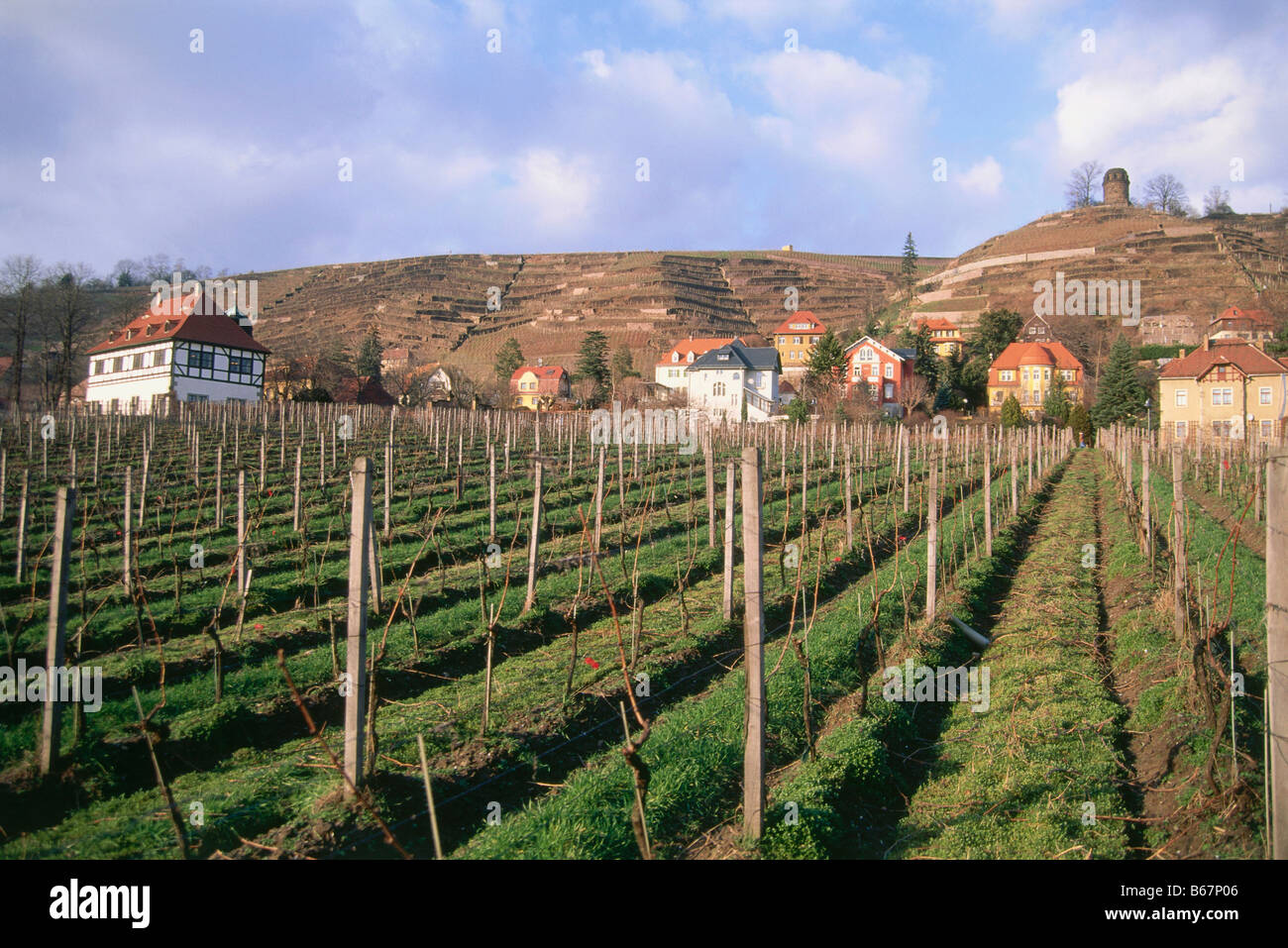 Winzerhäuser radebeul -Fotos und -Bildmaterial in hoher Auflösung – Alamy