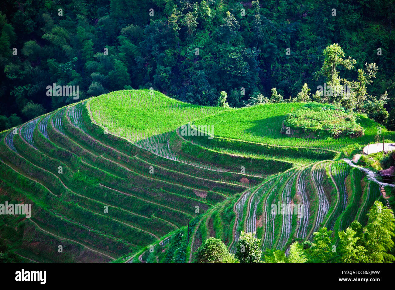 Jinkeng terraced fields -Fotos und -Bildmaterial in hoher Auflösung – Alamy