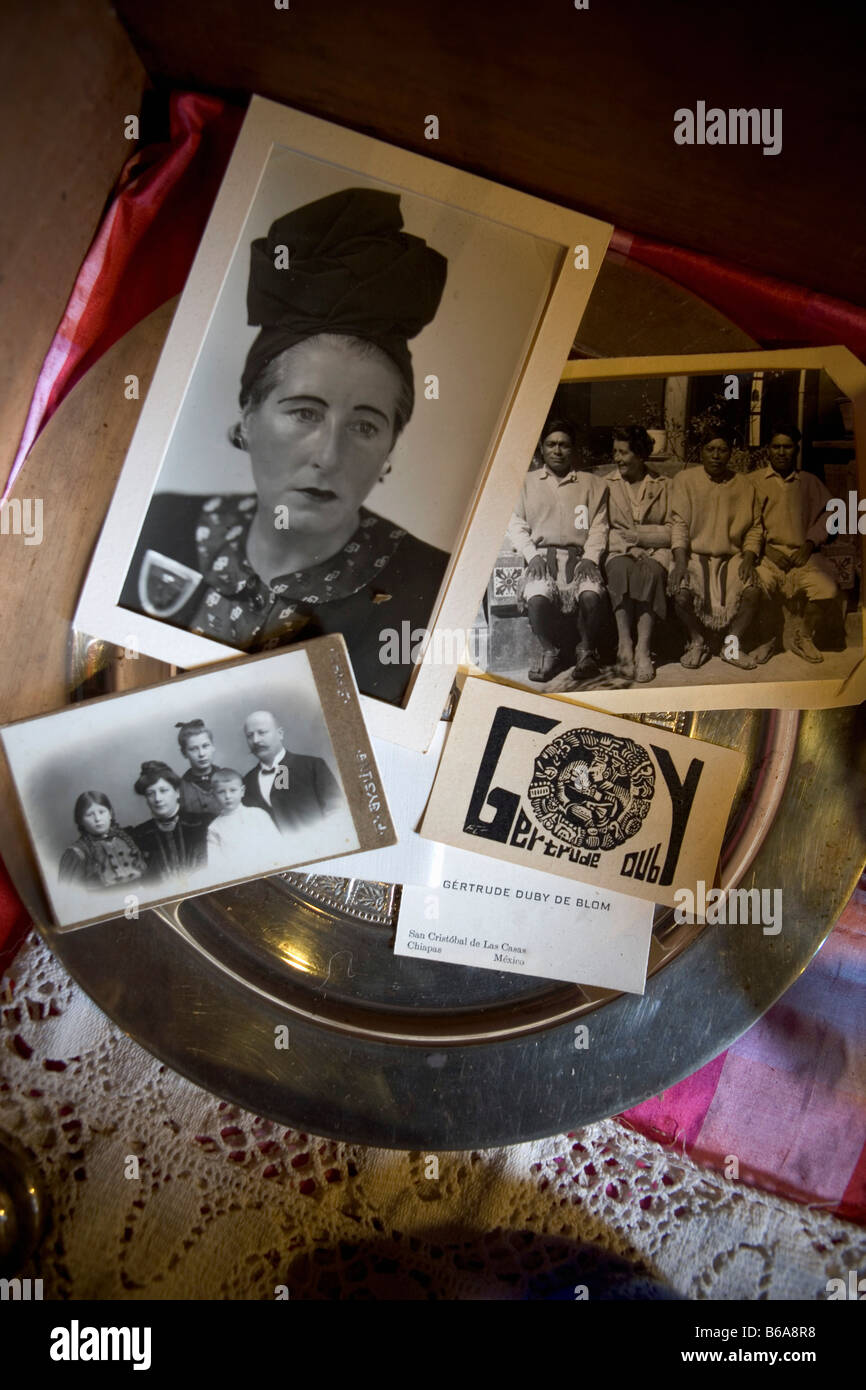 Frans blom -Fotos und -Bildmaterial in hoher Auflösung – Alamy
