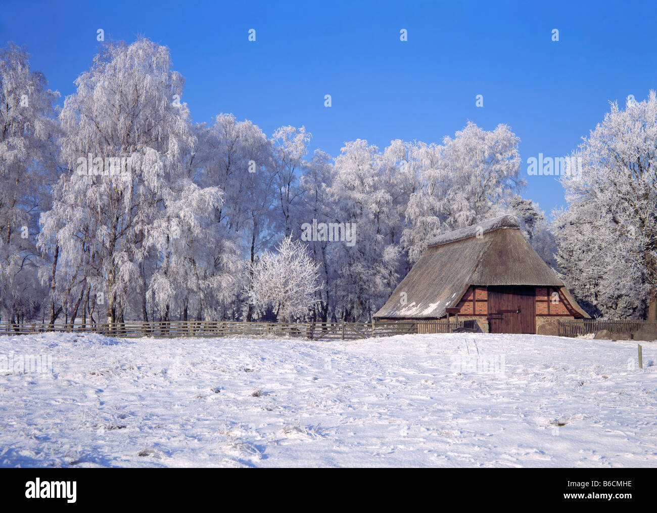 Wildeshauser geest wildeshausen -Fotos und -Bildmaterial in hoher ...