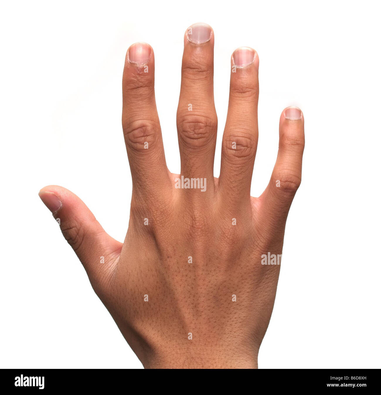 Dorsum of the hand -Fotos und -Bildmaterial in hoher Auflösung – Alamy