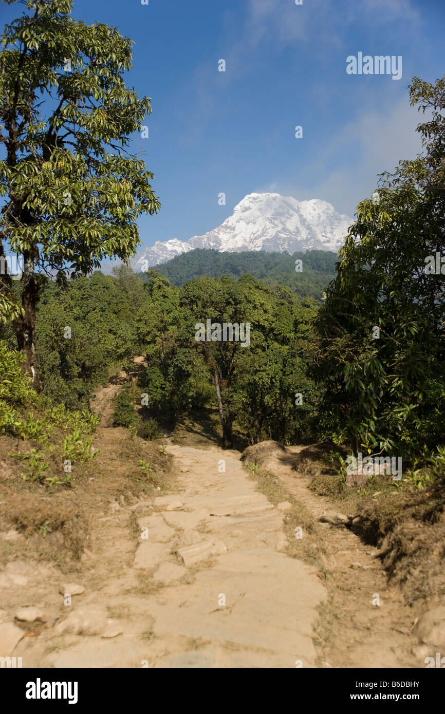Annapurna South Mountain aus dem Pfad zwischen Gurung Lodge und Pothana ...