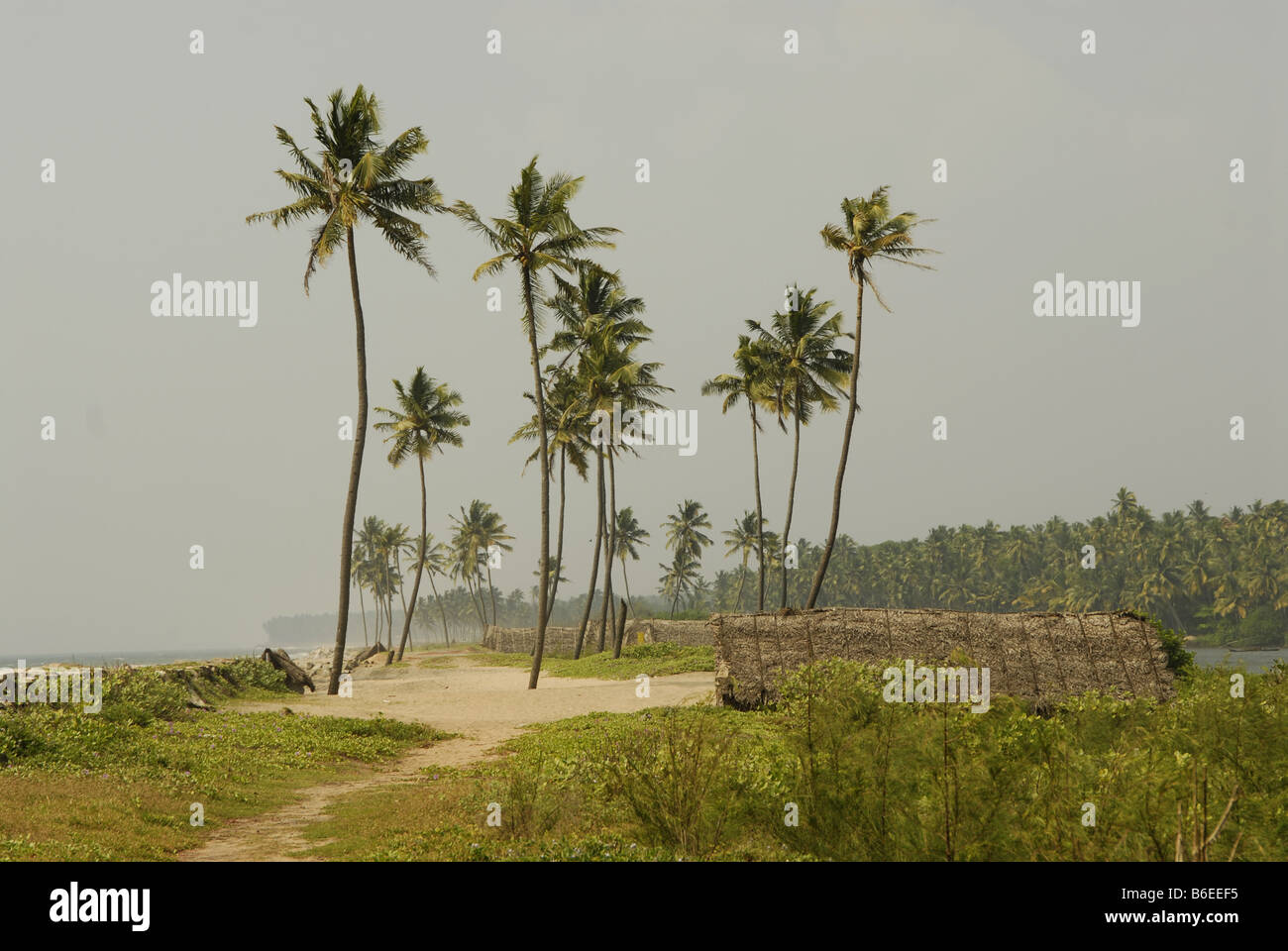 Kappil kerala -Fotos und -Bildmaterial in hoher Auflösung – Alamy