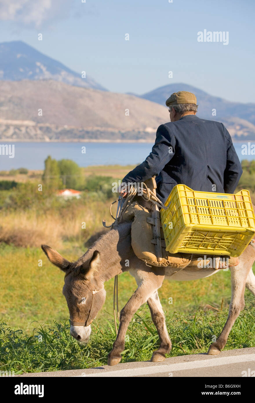 Griechischer mann mit esel -Fotos und -Bildmaterial in hoher Auflösung ...