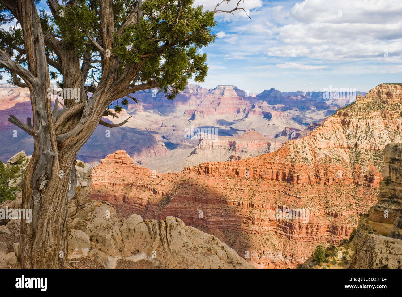 Rand des zedern nationalparks -Fotos und -Bildmaterial in hoher ...