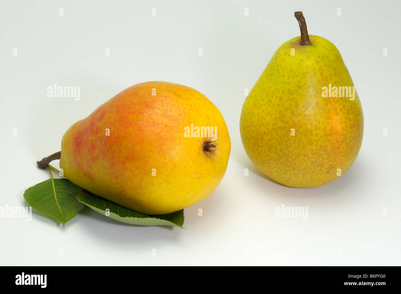 Birne helene -Fotos und -Bildmaterial in hoher Auflösung – Alamy