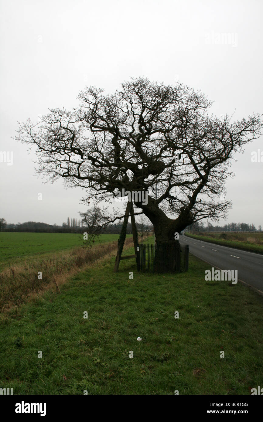 Norfolk rebellion -Fotos und -Bildmaterial in hoher Auflösung – Alamy