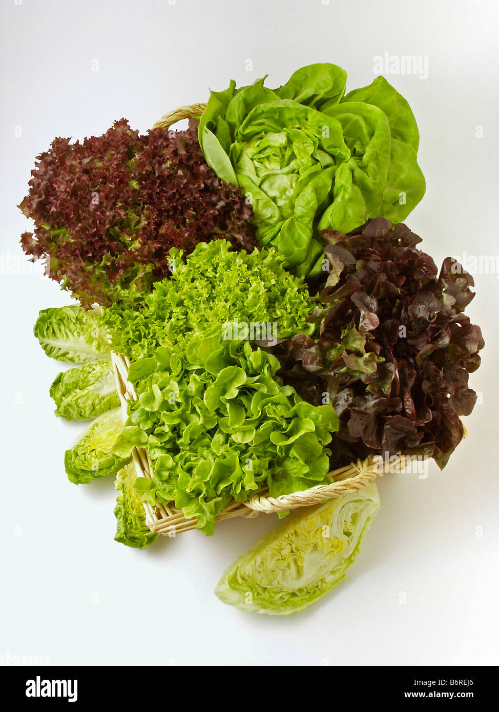 Lollo rosso salate -Fotos und -Bildmaterial in hoher Auflösung – Alamy