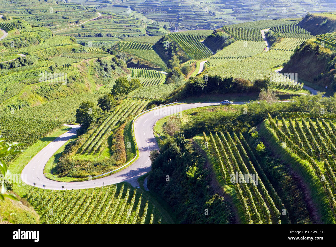 Weinberg Terrassen Baden Württemberg Stockfotos und -bilder Kaufen - Alamy