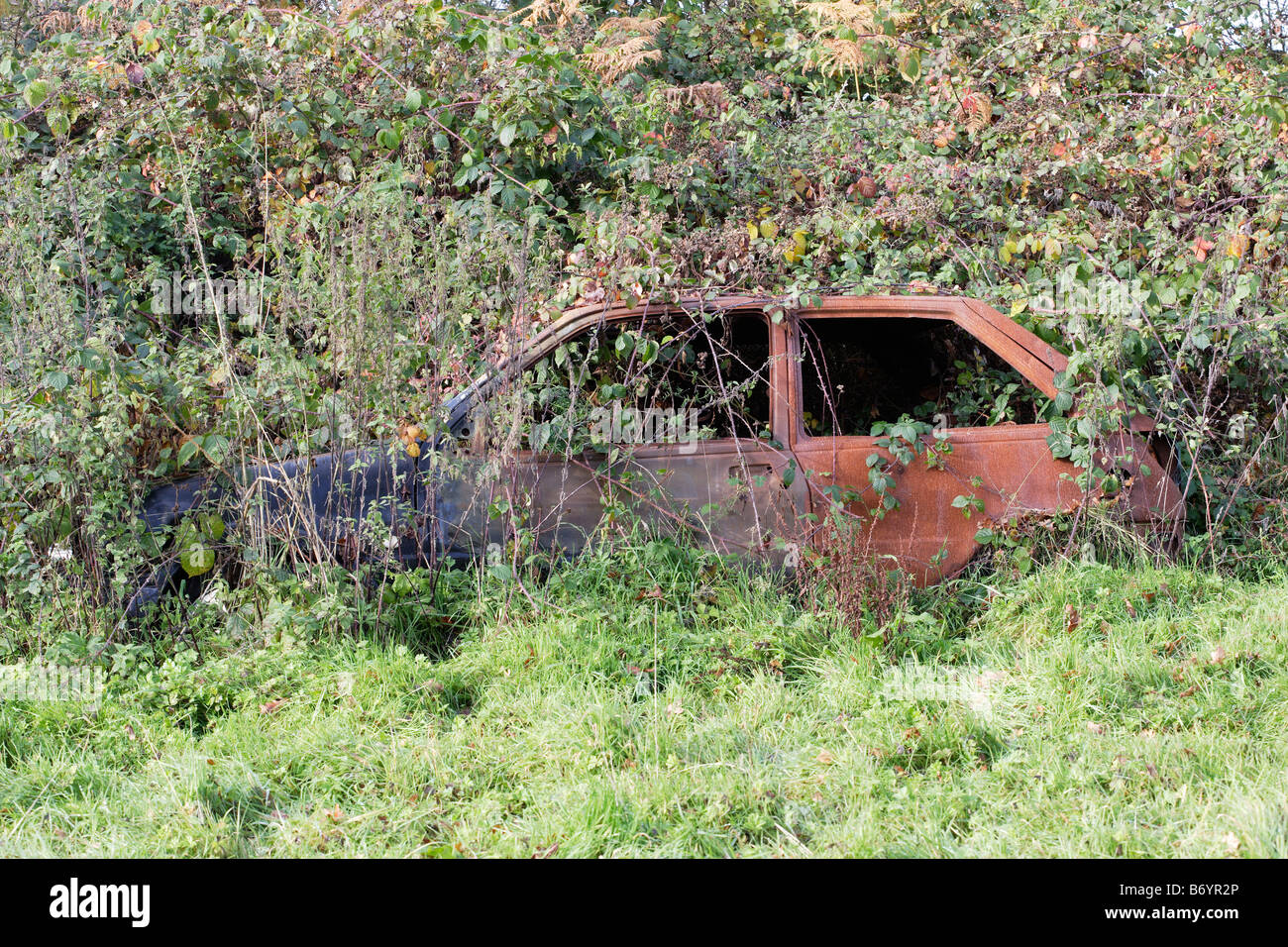 Auto in hecke -Fotos und -Bildmaterial in hoher Auflösung – Alamy