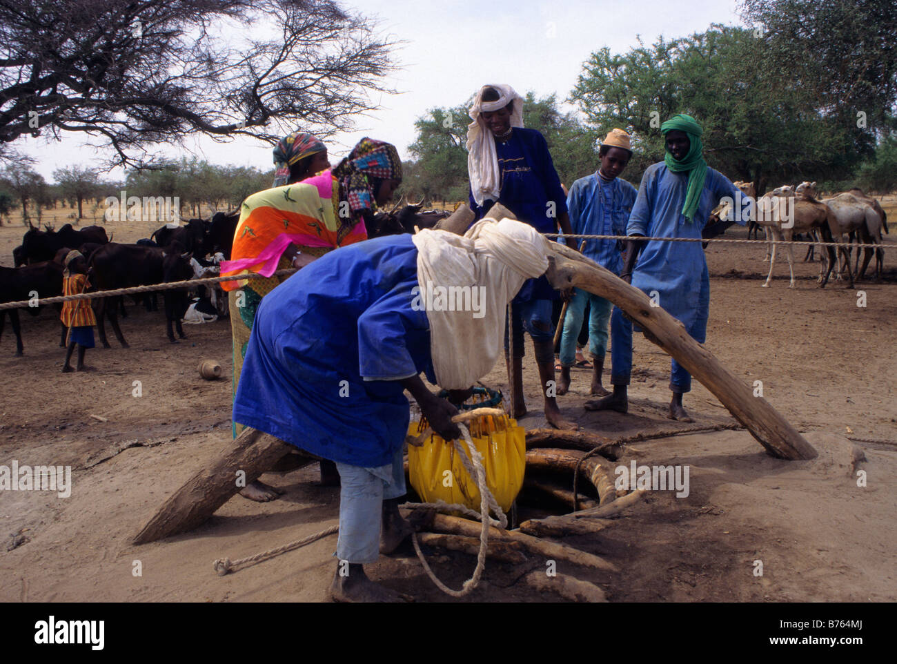 Fulani nomaden der sahelzone -Fotos und -Bildmaterial in hoher Auflösung - Seite 2 - Alamy