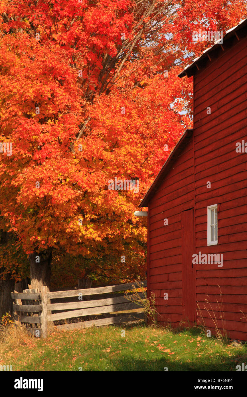 Scheune usa -Fotos und -Bildmaterial in hoher Auflösung – Alamy