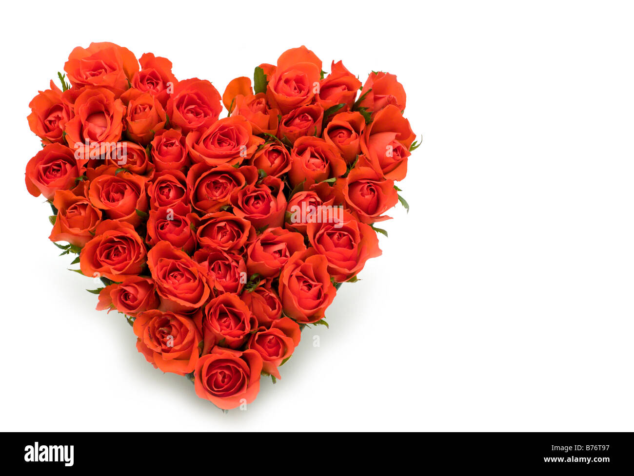 Blumenherz Rote Rose Stockfotos & Blumenherz Rote Rose Bilder - Alamy