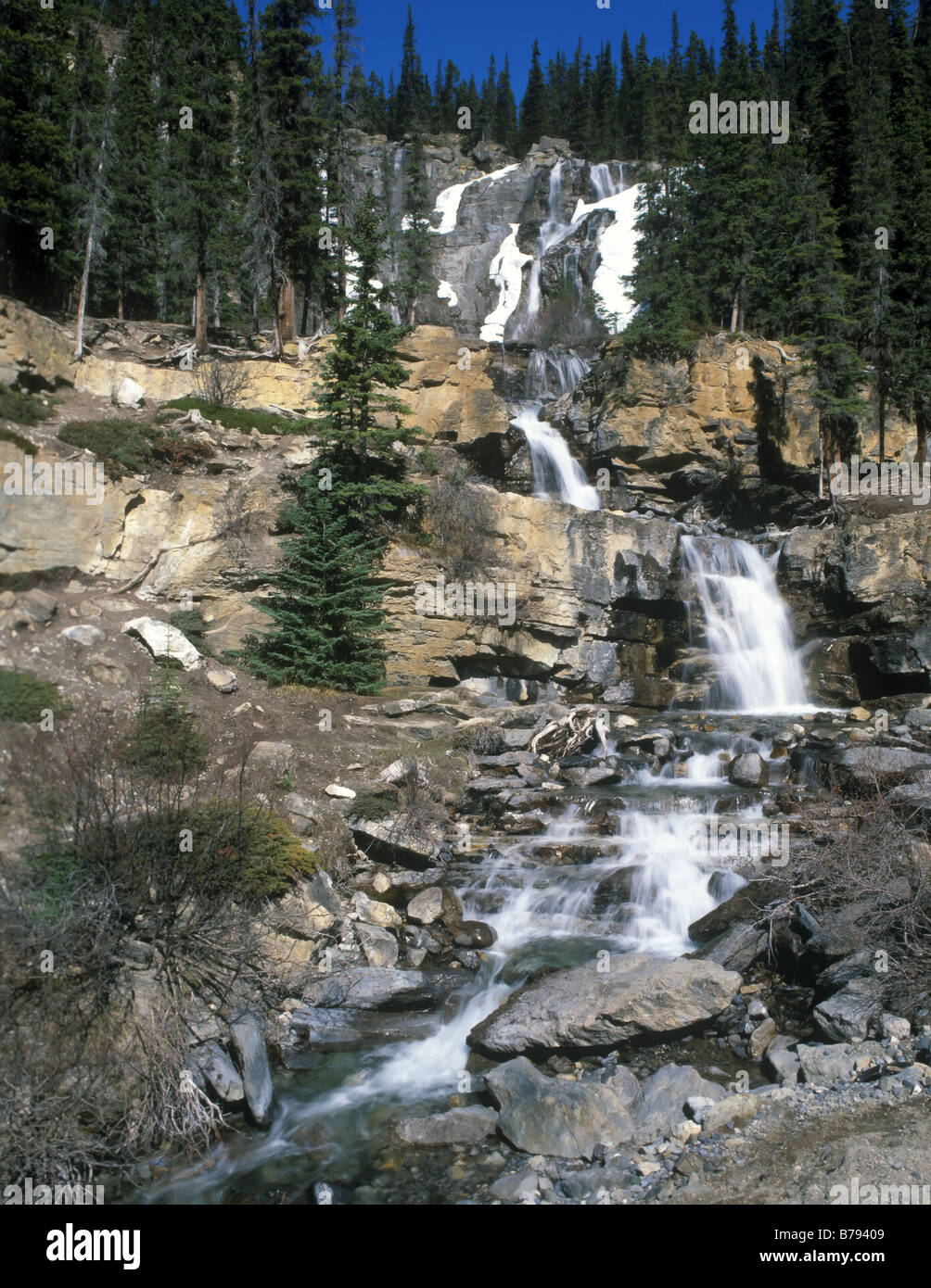 Gewirr verliebt sich in Banff National Park Kanada Stockfotografie - Alamy