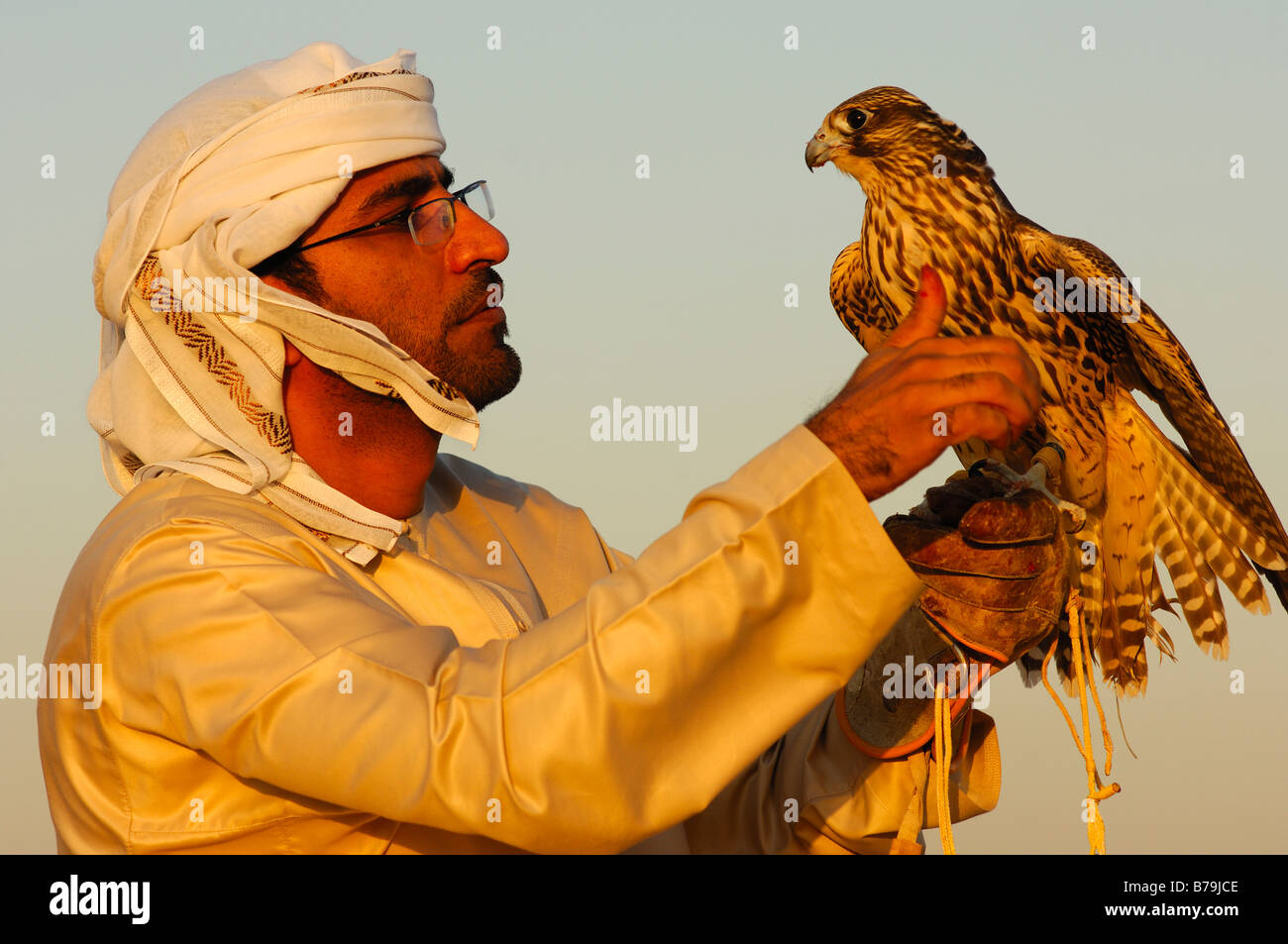 Sheik dubai falcon -Fotos und -Bildmaterial in hoher Auflösung – Alamy