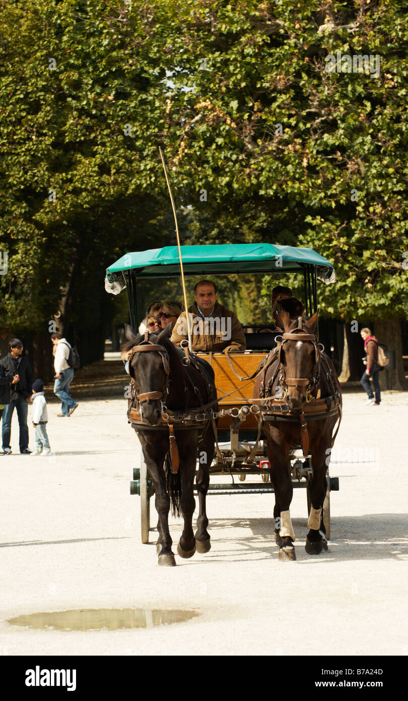 Fiaker, Kutsche in den Gärten von Schloss Schönbrunn, Wien, Österreich ...