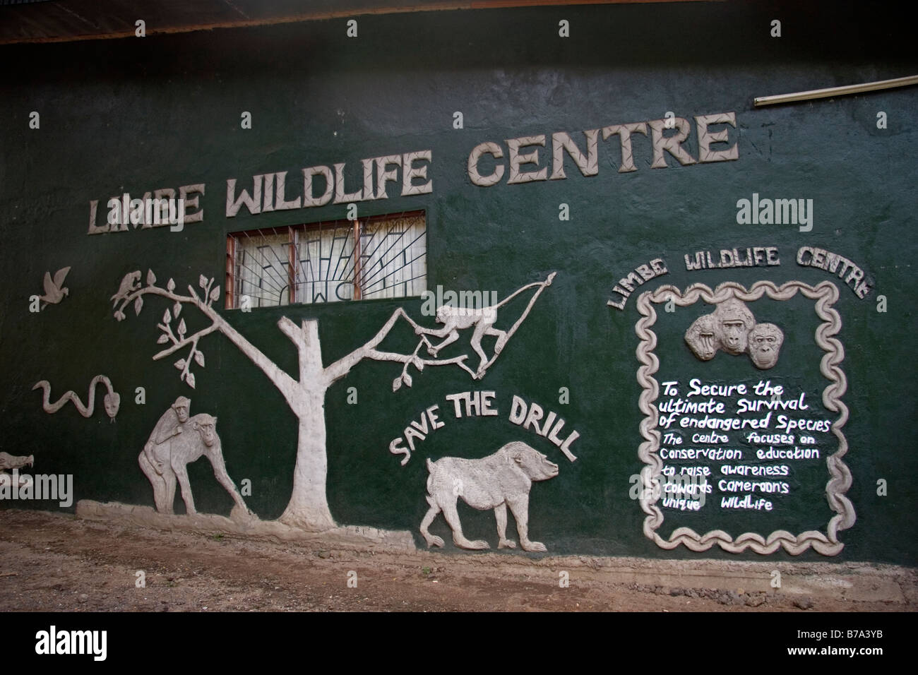 Limbe wildlife center -Fotos und -Bildmaterial in hoher Auflösung – Alamy