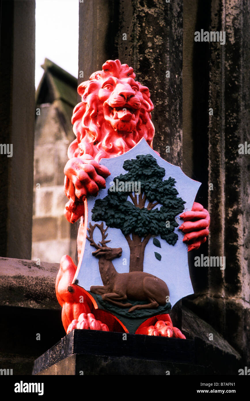 Die falklandarme -Fotos und -Bildmaterial in hoher Auflösung – Alamy