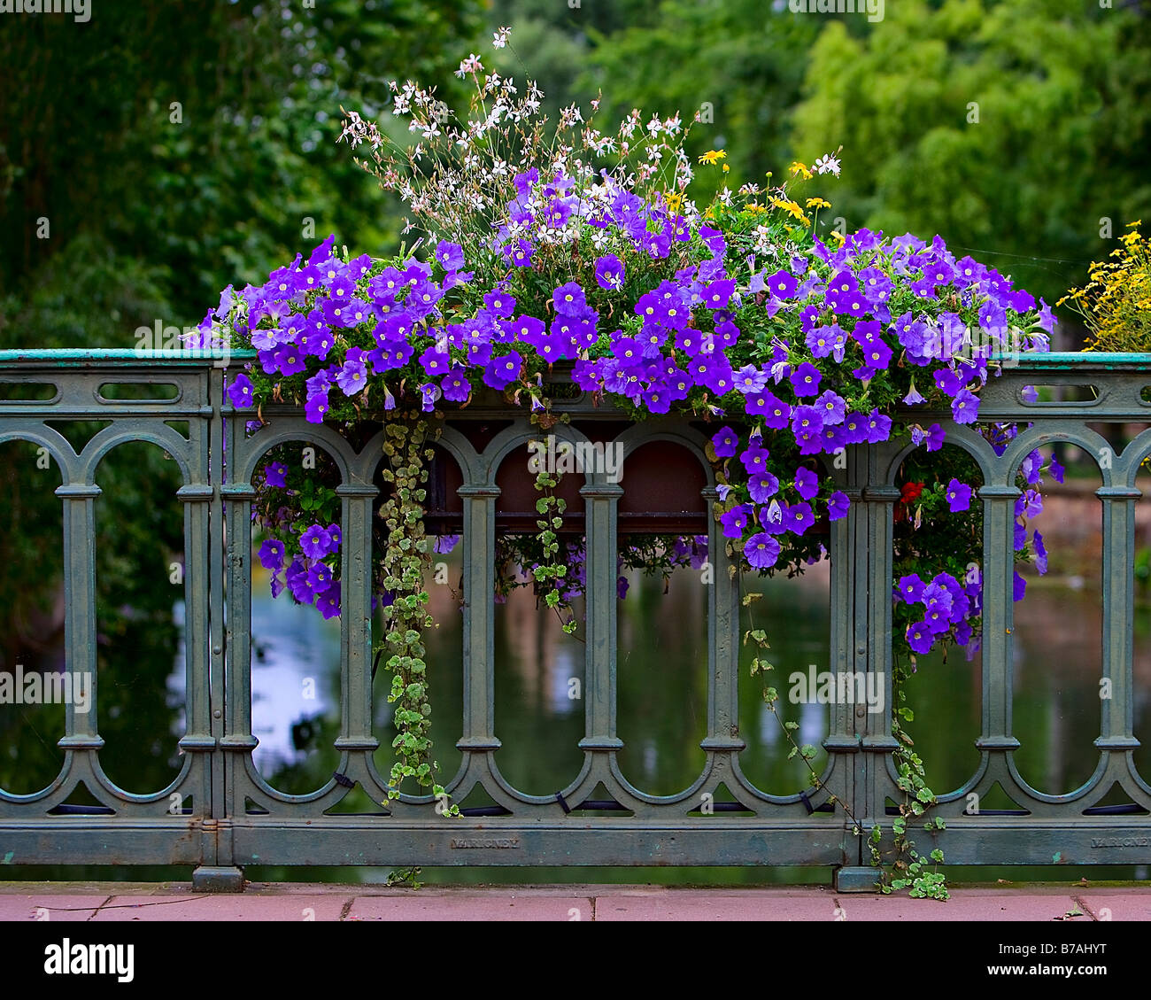 Blumen auf einer Brücke Colmar Frankreich Alsace Europe Stockfotografie ...