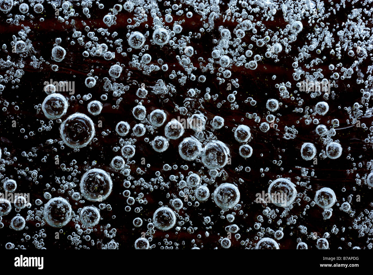 Eis schwarz weis -Fotos und -Bildmaterial in hoher Auflösung – Alamy