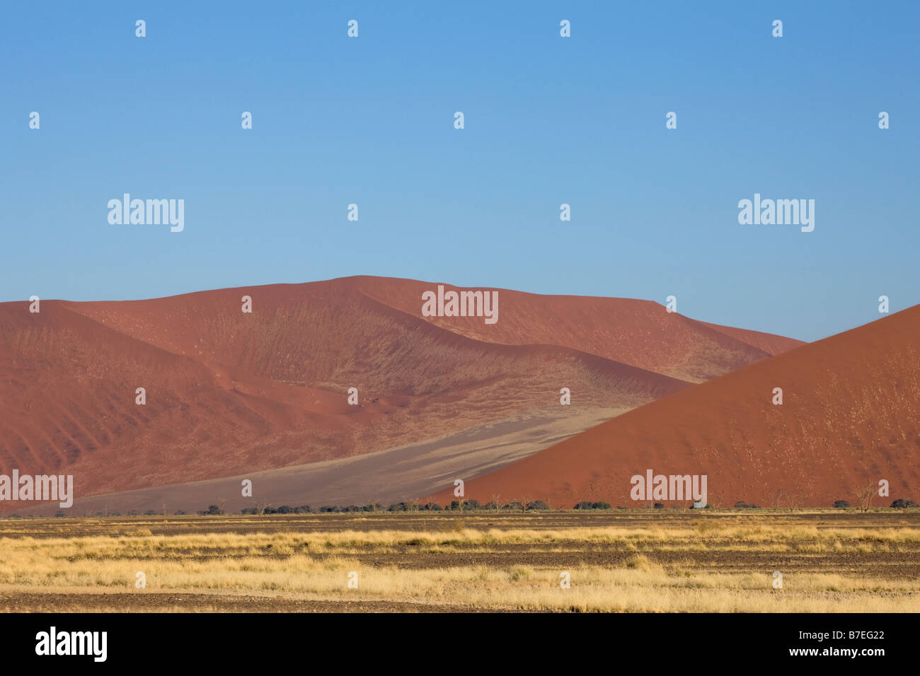 Rote dünen bei sossusvlei -Fotos und -Bildmaterial in hoher Auflösung ...