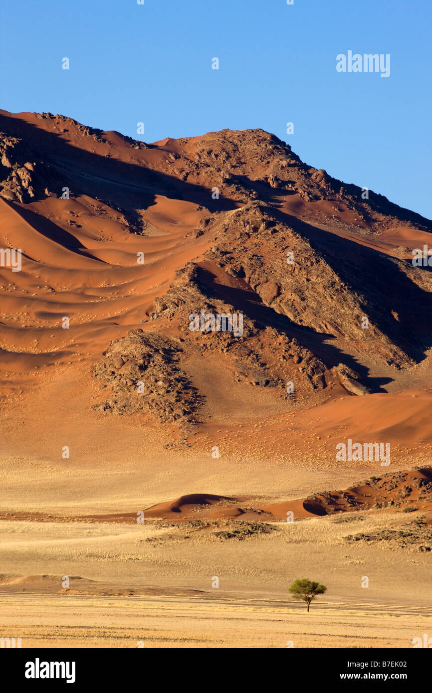 Rote dünen bei sossusvlei -Fotos und -Bildmaterial in hoher Auflösung ...