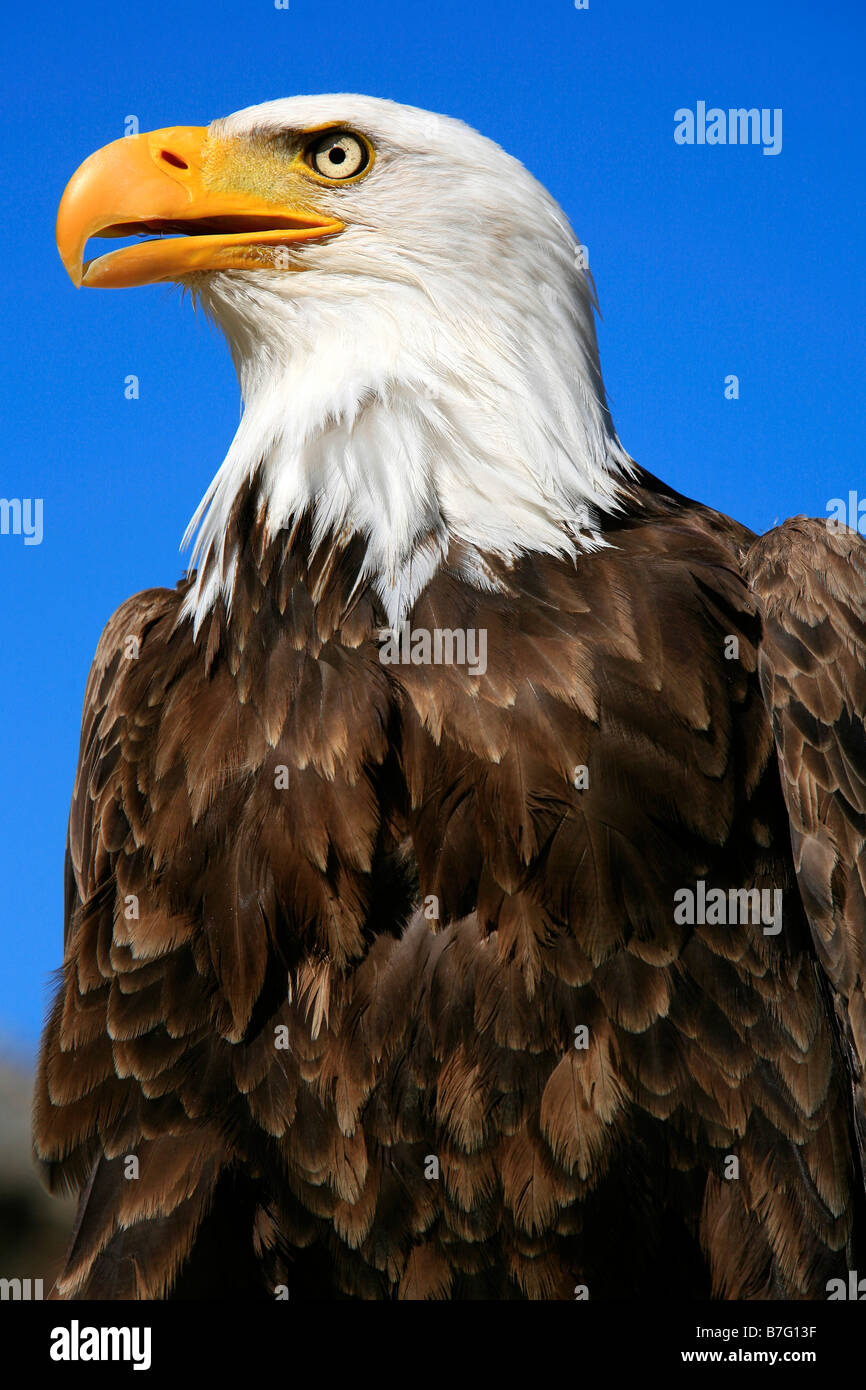 Beaucaire frankreich -Fotos und -Bildmaterial in hoher Auflösung – Alamy