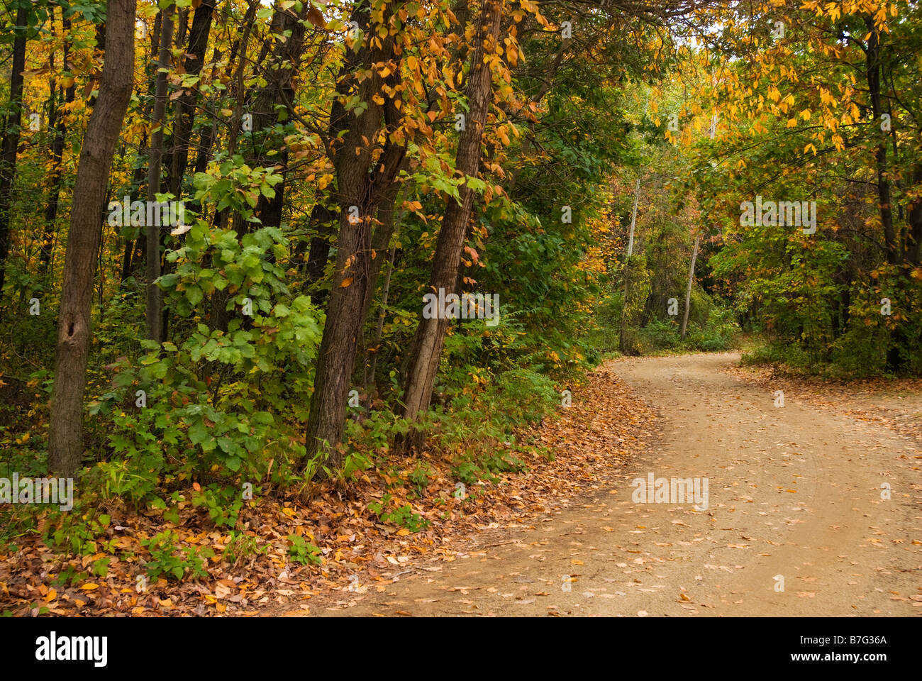 Schotterstraße schlängelt sich durch den Wald bei Warren Dunes State ...