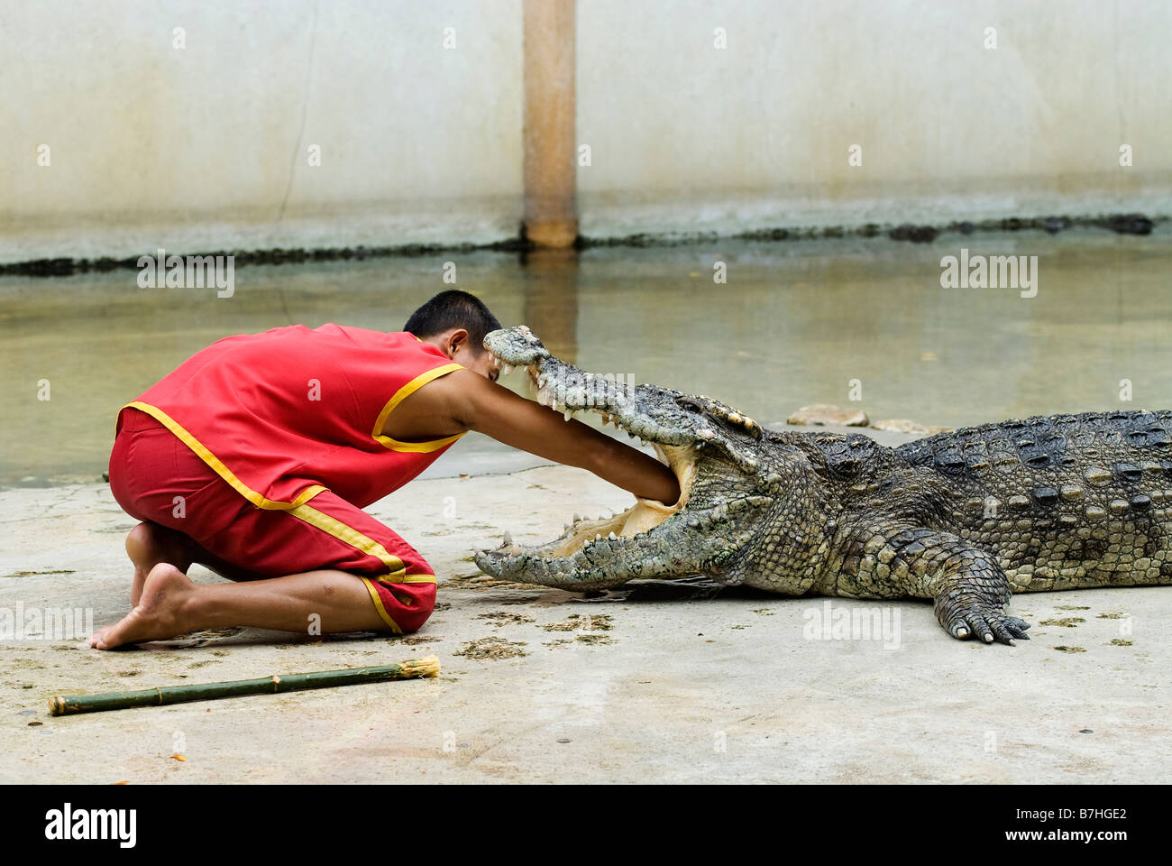 Crocodile farm bangkok -Fotos und -Bildmaterial in hoher Auflösung – Alamy