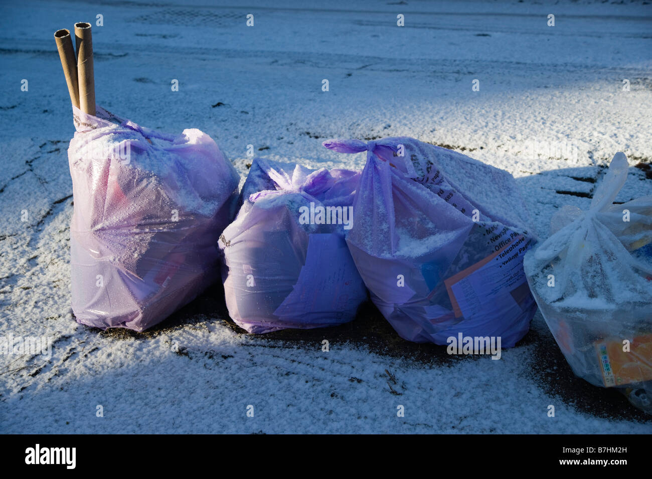 Sortiertes Altpapier und Verpackung recycling in der schottischen ...