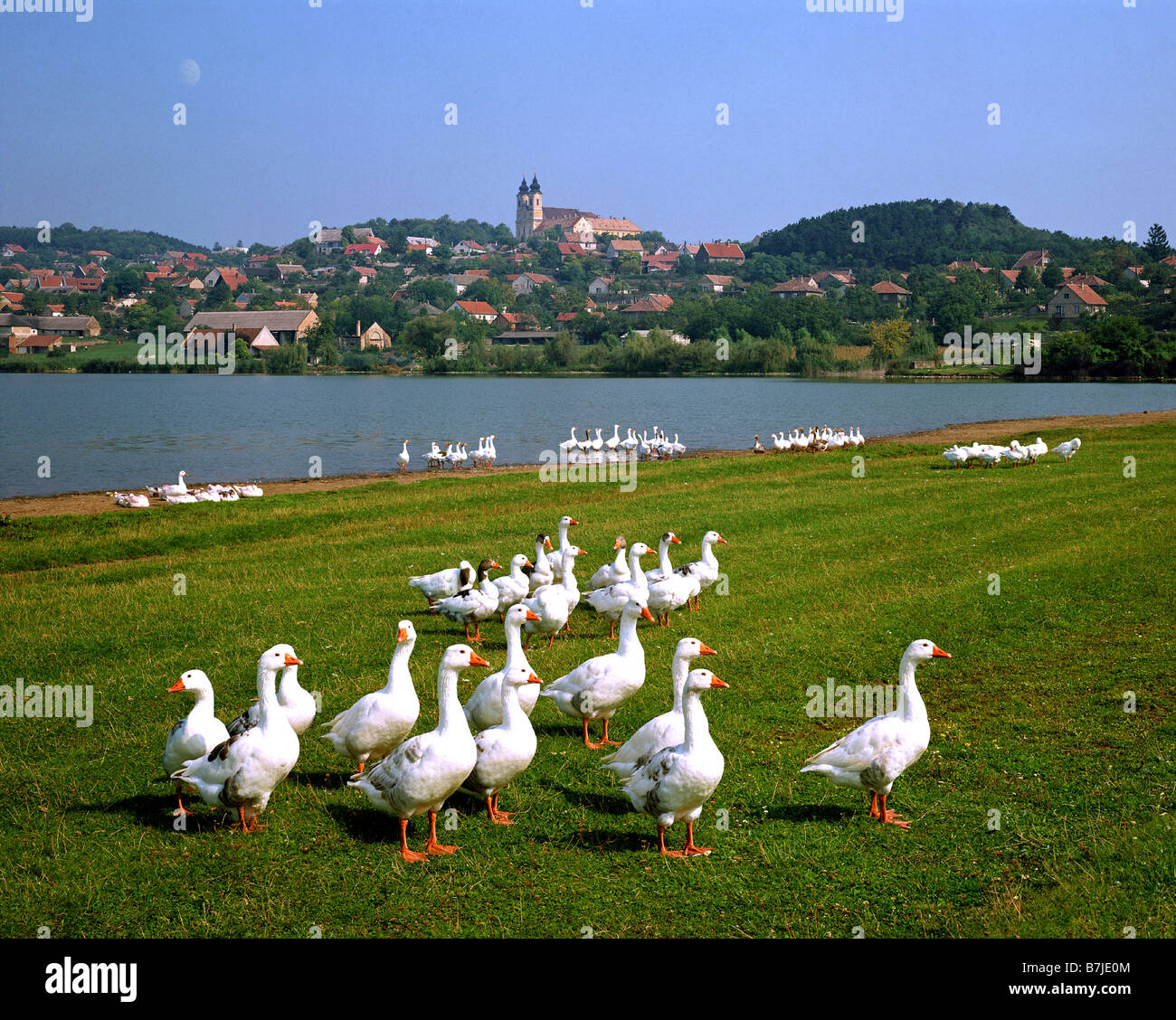 Bakony balaton -Fotos und -Bildmaterial in hoher Auflösung – Alamy